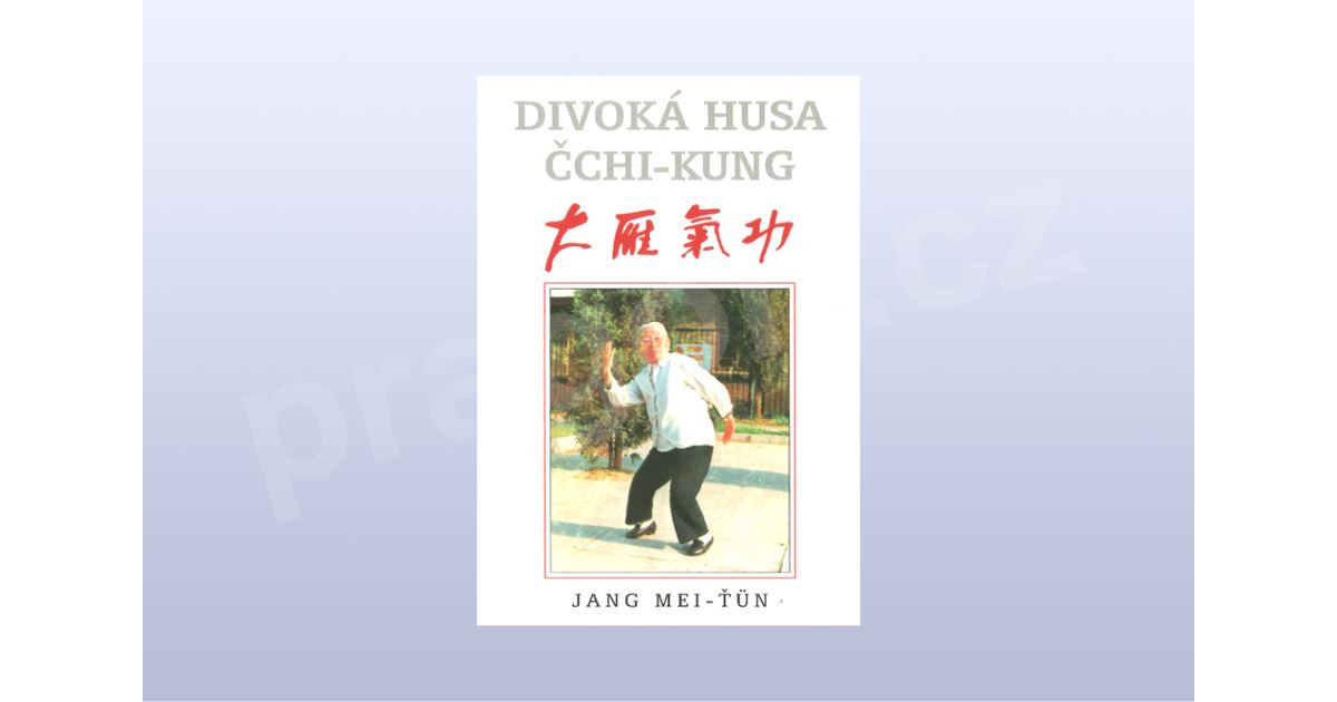 Divoká husa čchi-kung - Jang Mei-ťün | pragon.cz
